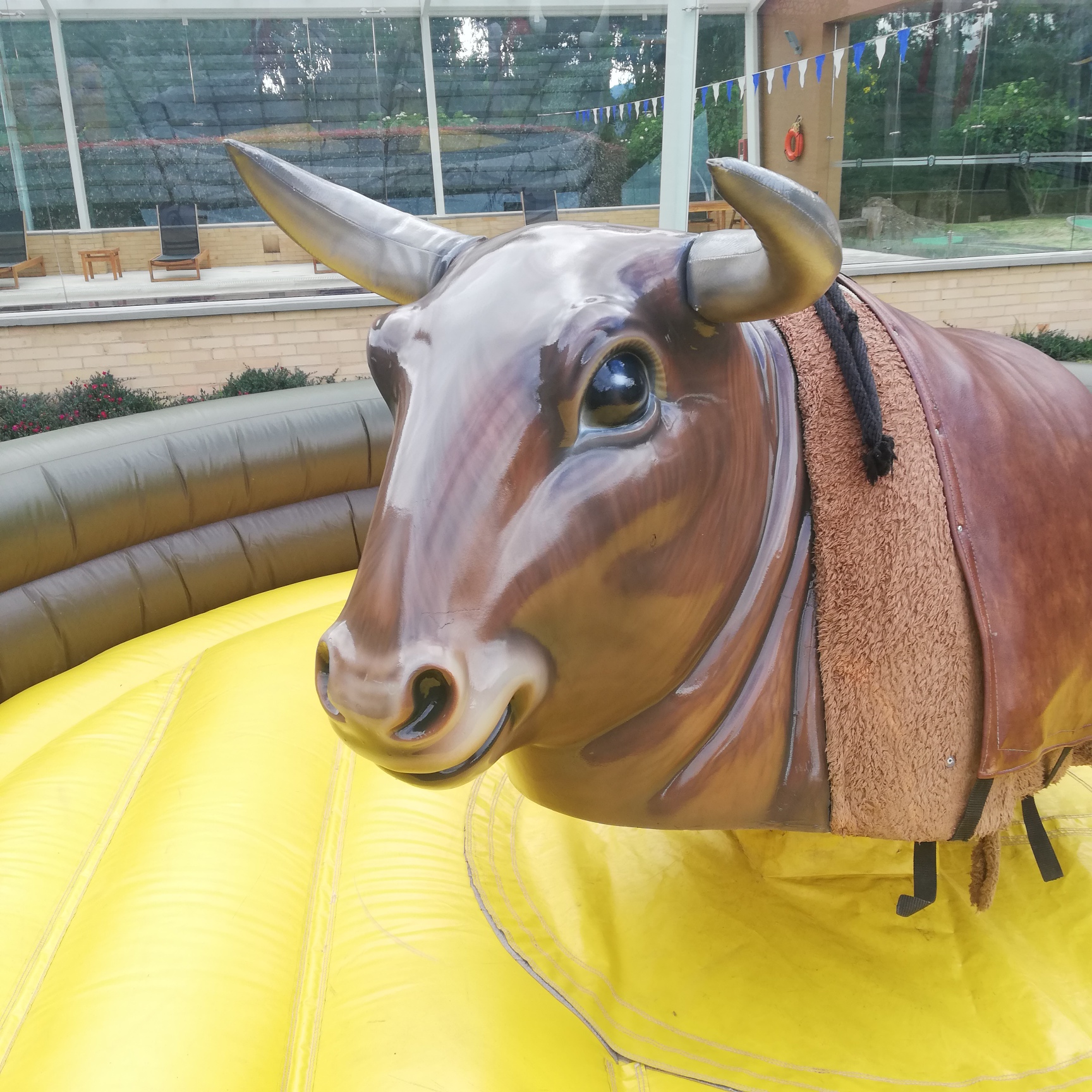 Rodeo Mecánico - Duendes Producciones